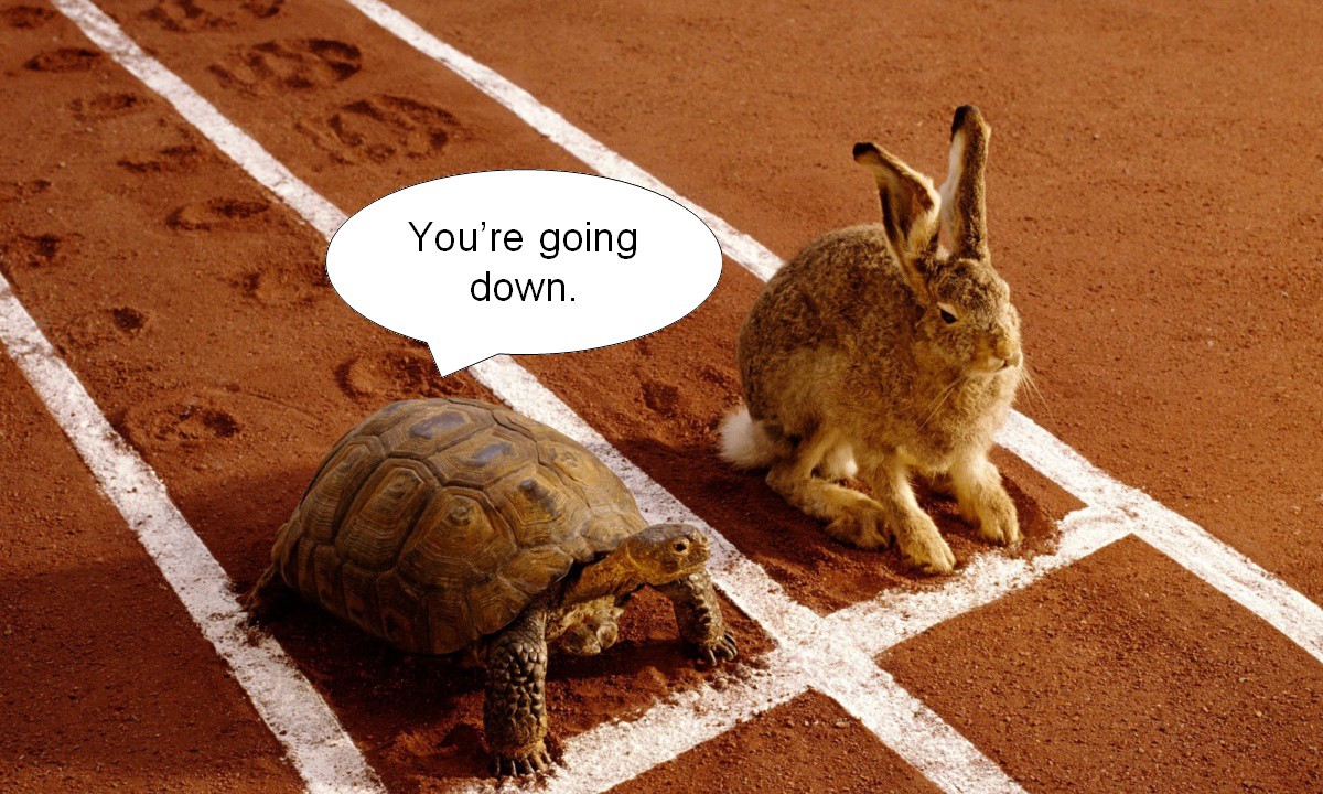 The Athlete's Path to Daily Re-Commitment // Life lessons from a ...